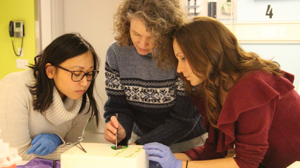 Nursing School Academic Programs - New York City | Columbia School of ...