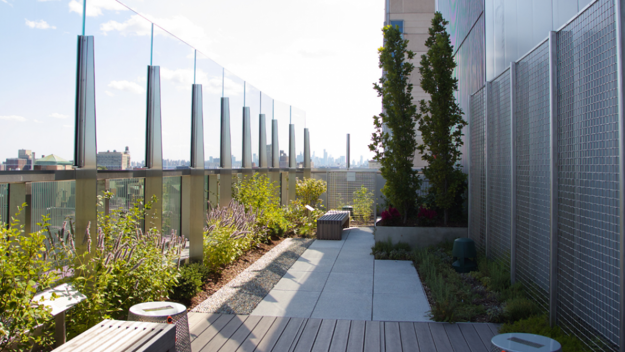 Plants as Medicine: Lenape Healing Traditions Continue Today | Columbia ...