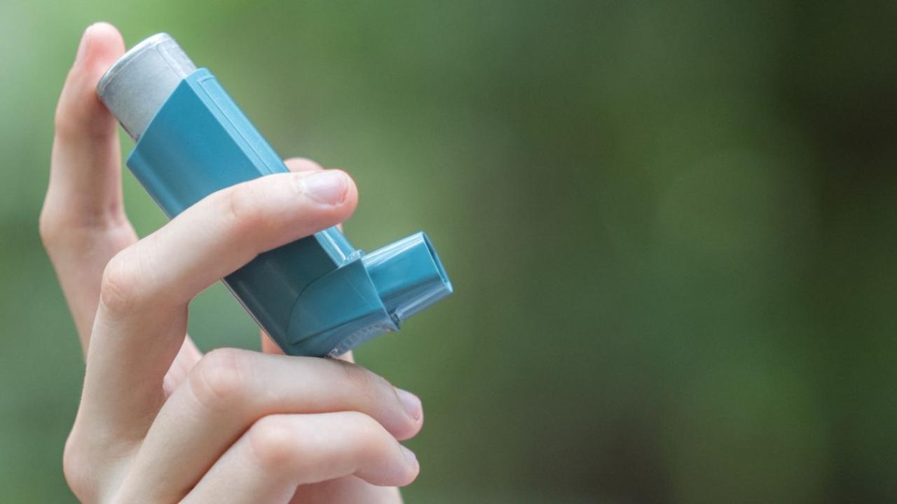 Bruzzese Awarded $3.1 million to Test Web-Based Asthma Intervention for ...