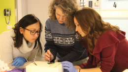 DNP Nurse-Midwifrey Program - New York City | Columbia School of Nursing