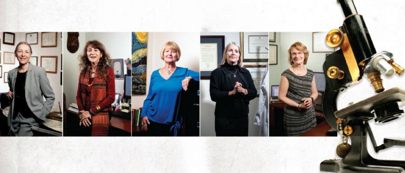 The Rise of the Nurse Scientist: Nurse Researchers Take Center Stage ...